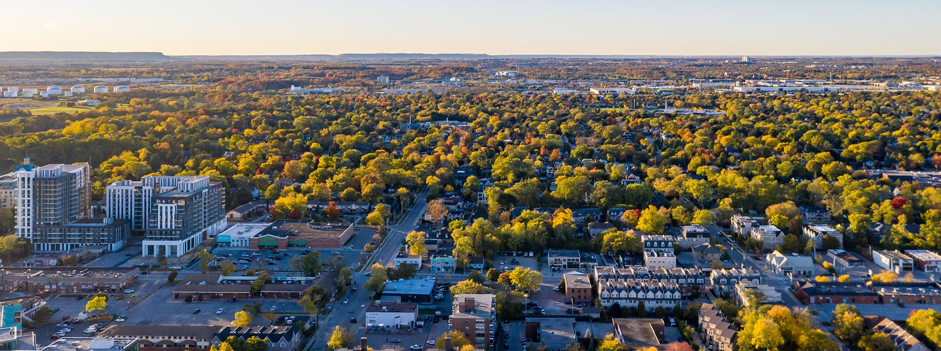 Halton - Opportunities to Participate